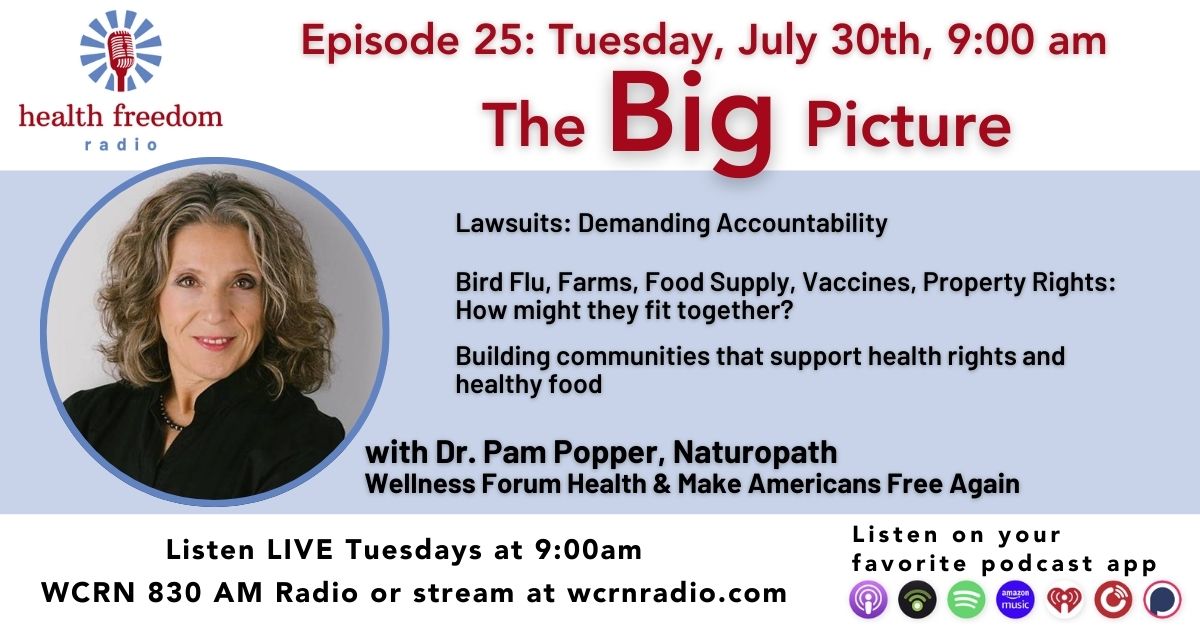 Episode 25: The Big Picture with Pam Popper – Health Freedom Radio